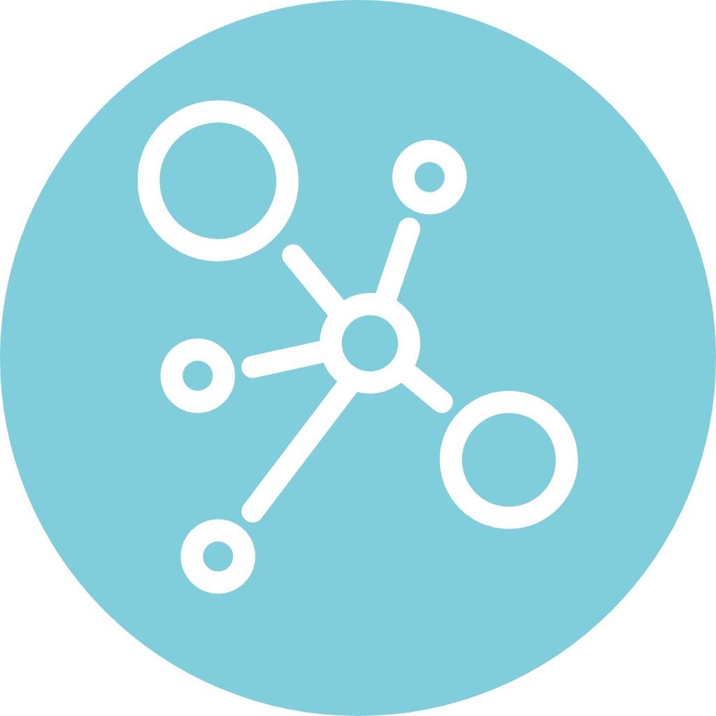 SEN Network - Our Lady of Lourdes Catholic Multi-Academy Trust